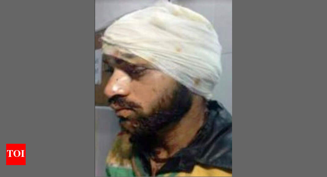 Man injured in bear attack near Dalhousie | Shimla News - Times of India