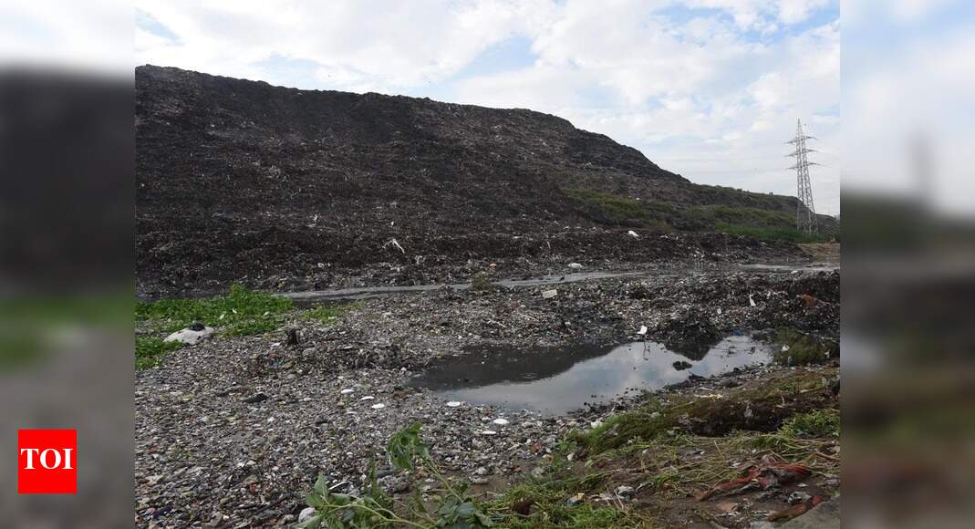 SC says Delhi under 'mountains of garbage', slams LG for inaction ...