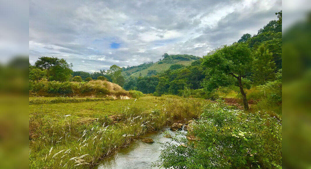 A trip to Lambasingi—the Kashmir of Andhra Pradesh, Visakhapatnam ...