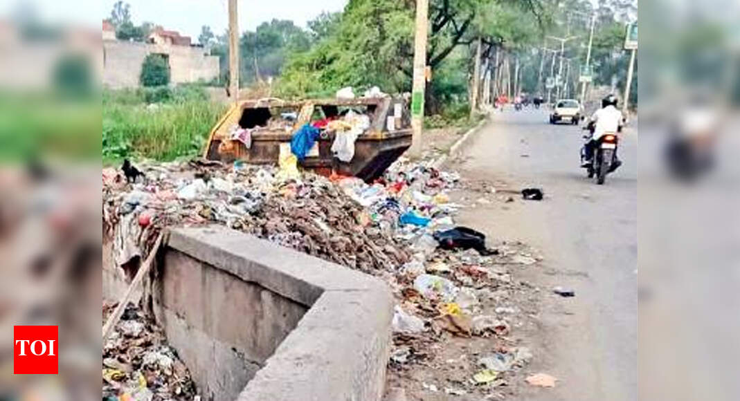 Dhakoli Suffers From Rising Stink: Dhakoli suffers from rising stink ...