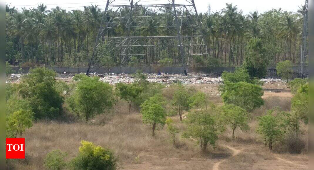 5 tons Garbage dumped illegally in Thalambur lake - Times of India