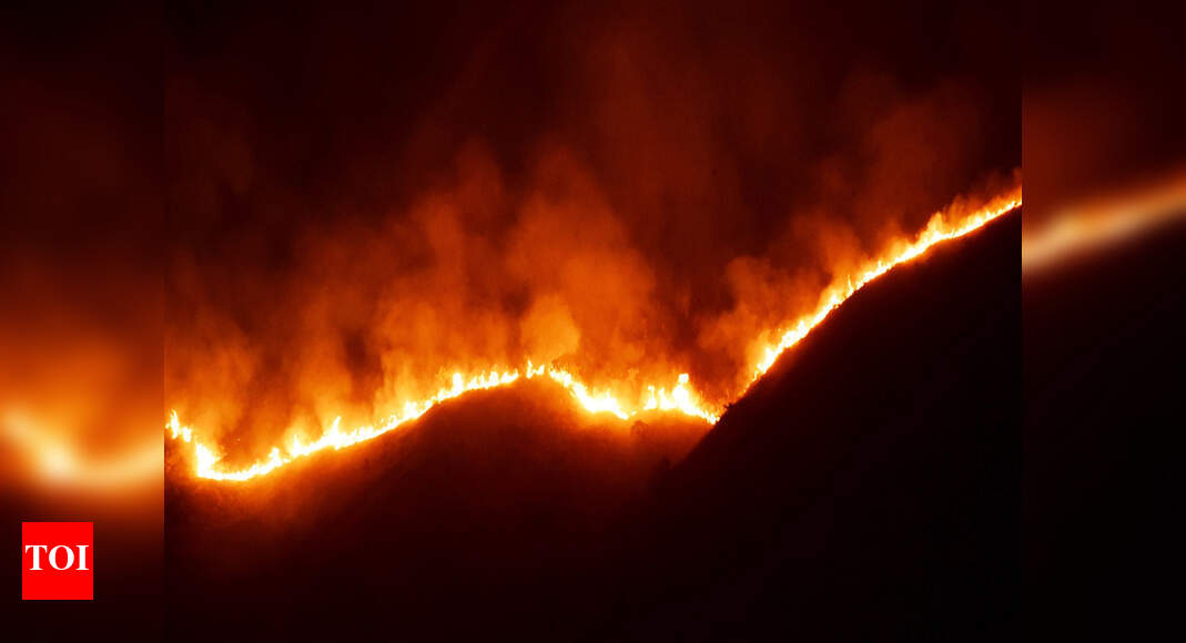 Forest Fire: Forest fire deaths: Failure at all levels | Chennai News ...