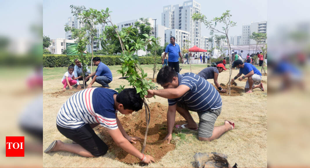 Massive tree plantation drive launched in Gurgaon | Events Movie News ...