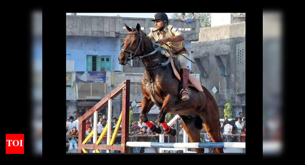 Cop pens history of mounted police | Ahmedabad News - Times of India