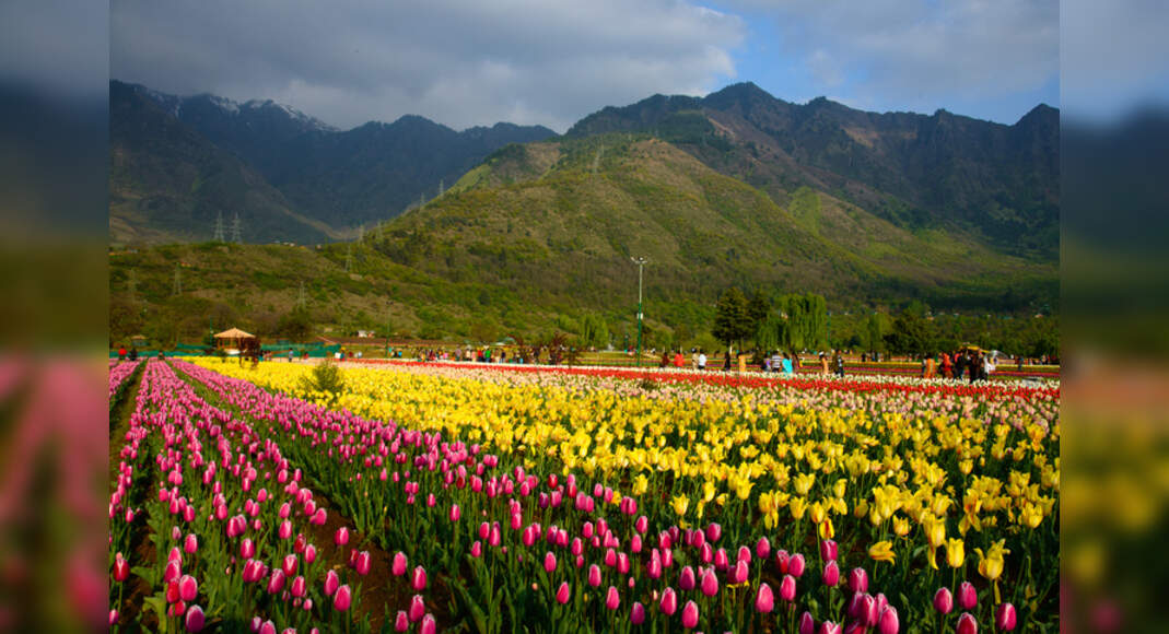 Why a trip to Yousmarg is must when in Kashmir?, Kashmir - TimesTravel
