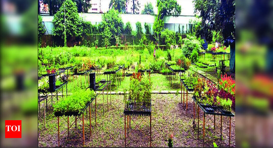 Dehradun: Uttarakhand to conserve 34 ‘rare endangered threatened ...