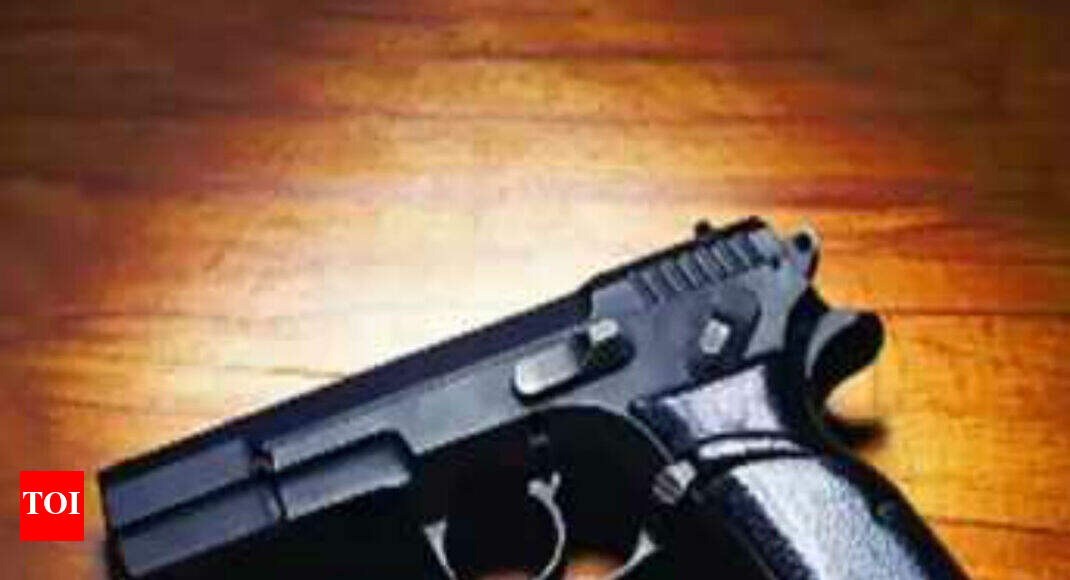 From April next year, national database for gun licence holders | India ...