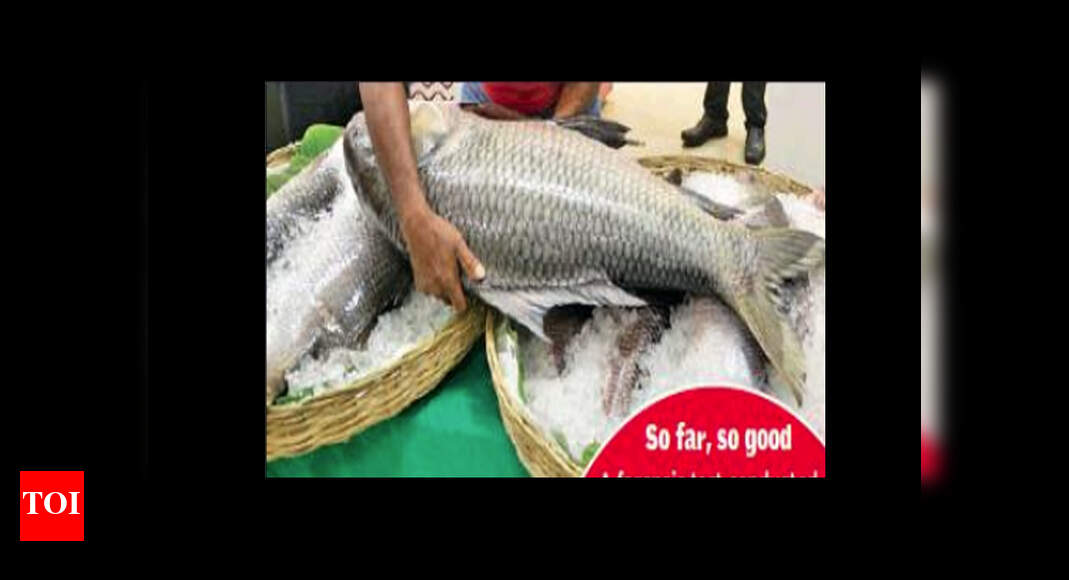 Formalin Fish: Formalin in fish may be fatal in long run: Doctors ...
