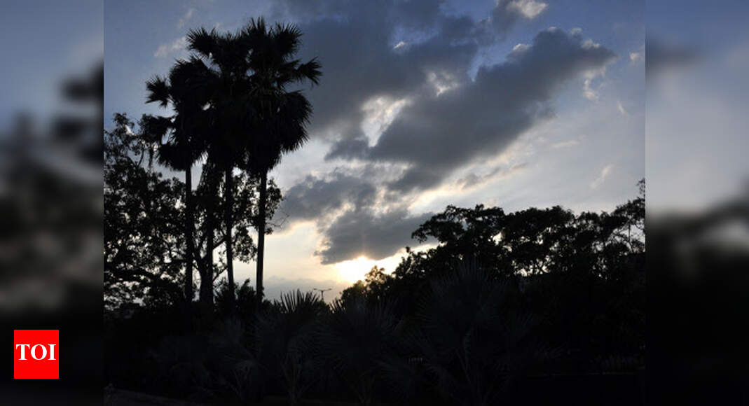 Drought Stares Bihar In Face: Rain deficit in 33 districts, drought ...