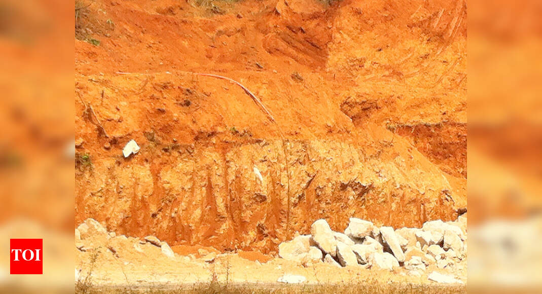 Goa Mining: ‘Goa must send detailed plan to restart mining’ | Goa News ...