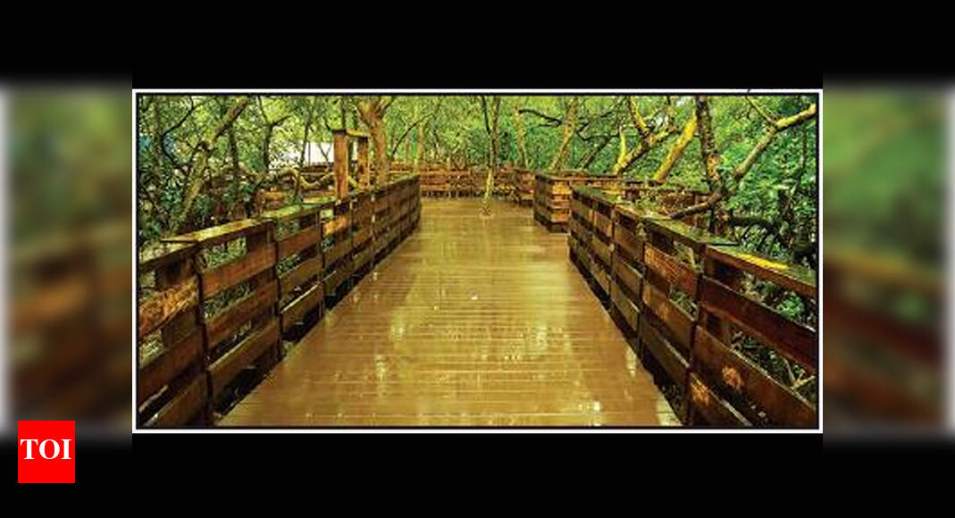 Boardwalk: Mangrove boardwalk finds favour with locals | Goa News ...