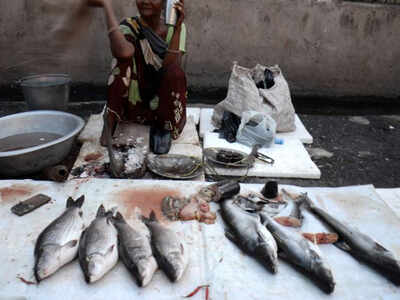 ‘No formalin threat to fish lovers in Bihar’ | Patna News - Times of India