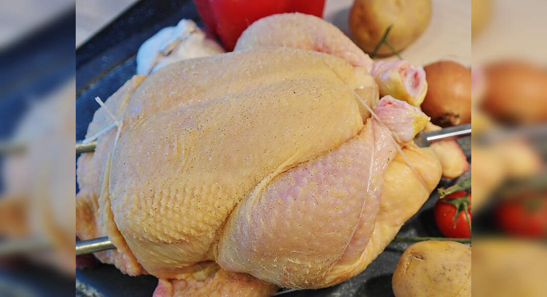 8 scary facts about chicken that will freak you out!