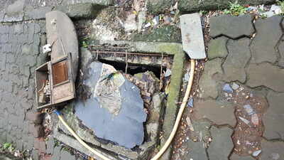 Tumble and Fall - Times of India