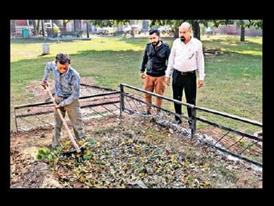 MC to construct compost pits in 100 Chandigarh parks | Chandigarh News ...