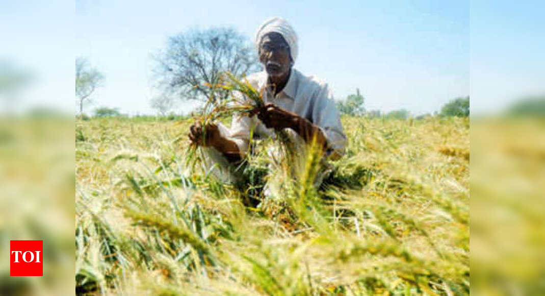 Crop yields falling due to climate change impact: Govt study | India ...