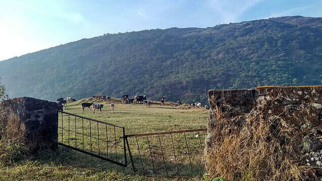 When visiting Meerut, go to GP Block at your own risk | TimesTravel