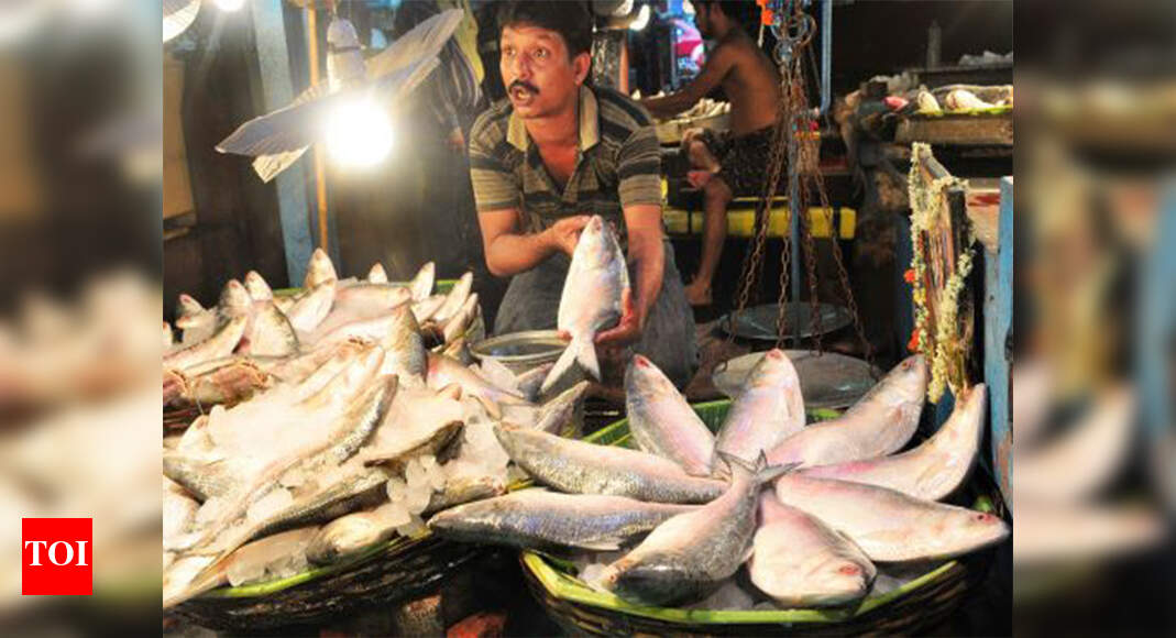 This season, you could be eating week-old fish | Mumbai News - Times of ...