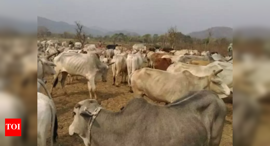Probe ordered into mysterious death of cow smuggling suspect in Jammu ...