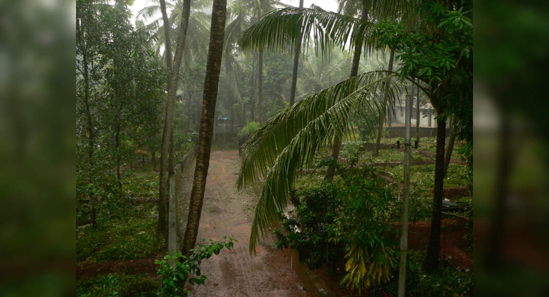 The haunted tale of chain tree in Kerala’s Wayanad will keep you awake ...