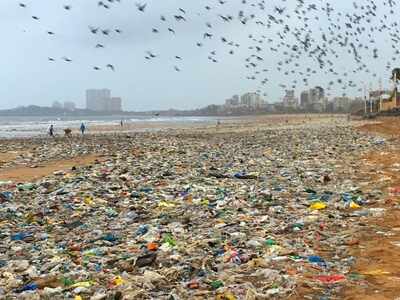plastic destroying environment - Times of India