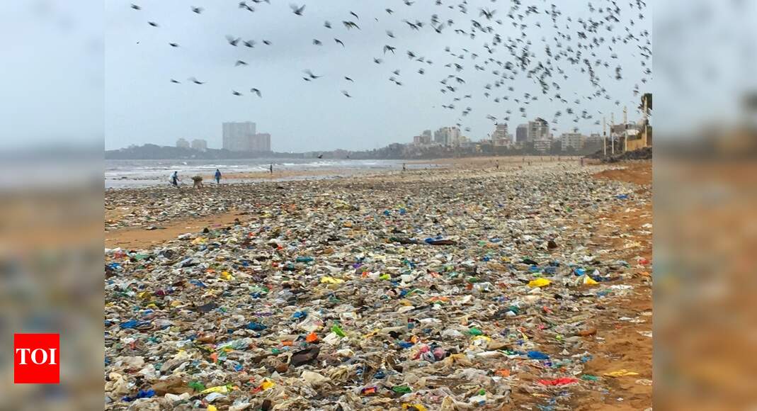 plastic destroying environment - Times of India
