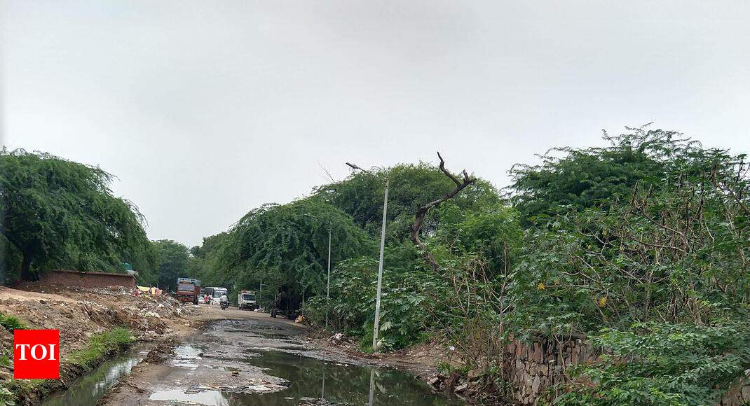 Broken and unmaintained road - Times of India