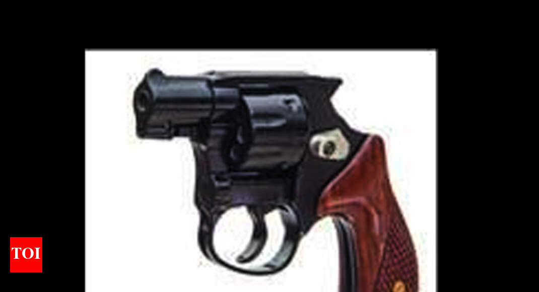 lightest indigenous revolver: Karnataka residents main buyers of ...