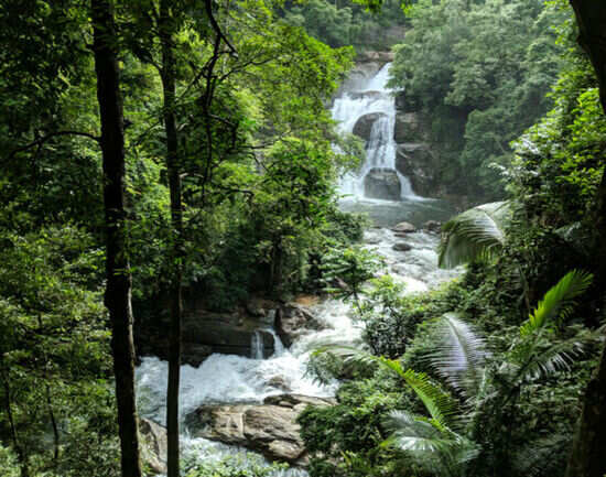 All about the beautiful hidden town of Kallar in Kerala in Trivandrum ...