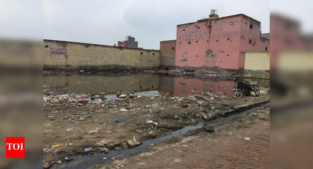 Vacant plot turned into pond filled with garbage - Times of India
