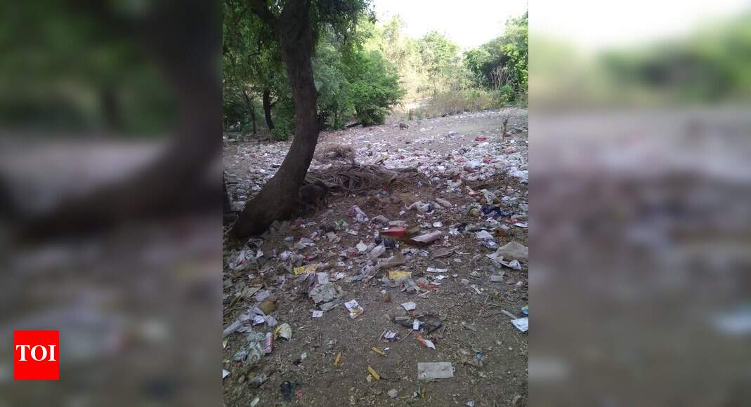 URGENT! Garbage breeds Pigs,Mosquitoes,viruses. - Times of India