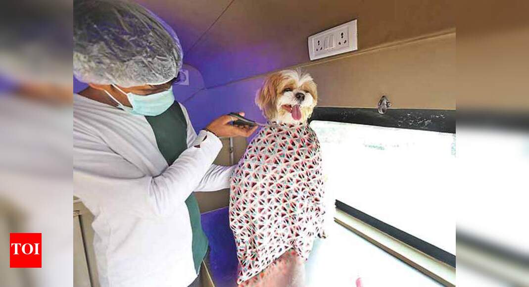 Spas on wheels make life easy for Delhi’s pets and their parents ...
