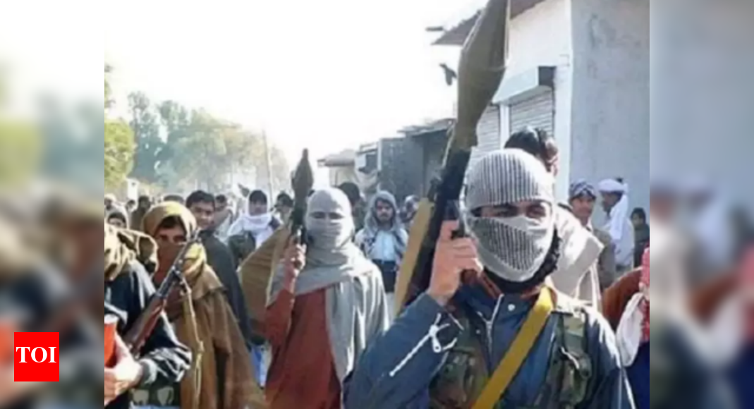 US designates three Pakistanis as global terrorists - Times of India