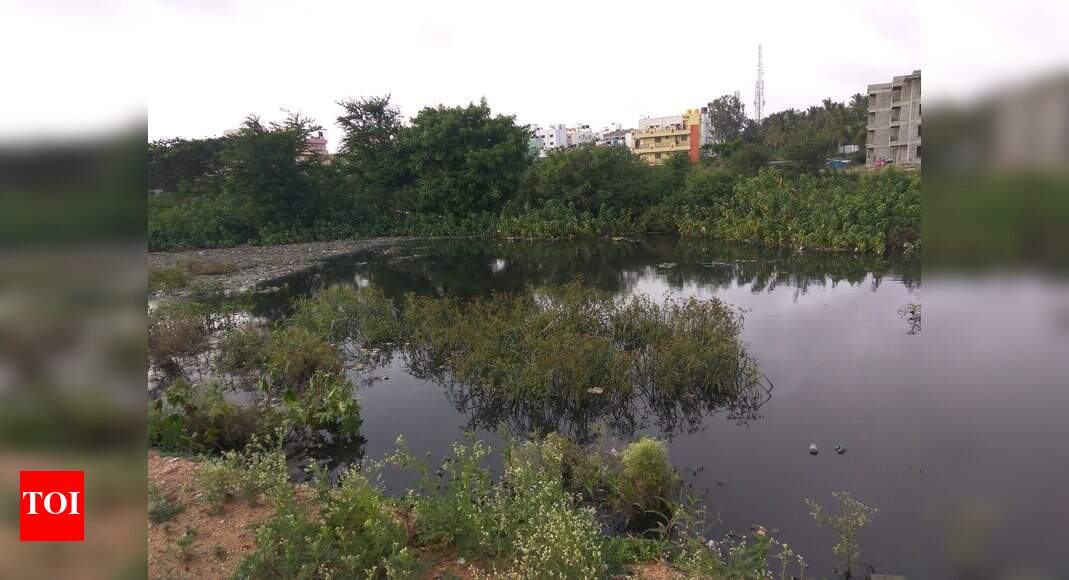 Sewage dump into singasandra Lake - Times of India