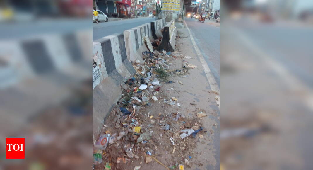 No cleaning near central verge - Times of India