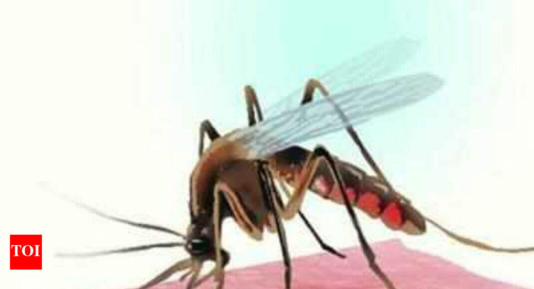 Dengue claims 30 lives, over 14000 people affected across country ...