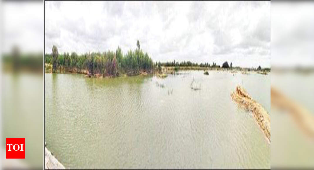 Politicians to blame for the KC Valley project mess, says expert ...