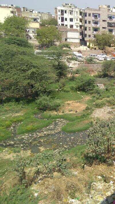 Clean India & green India? - Times of India