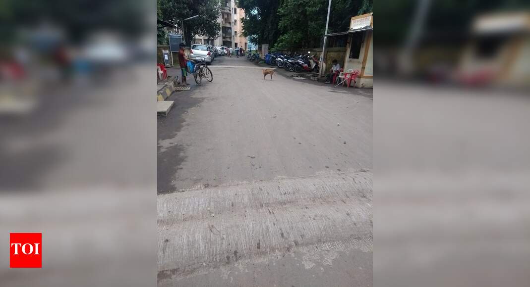 Cement concret rumblers speed breaker causing pain - Times of India