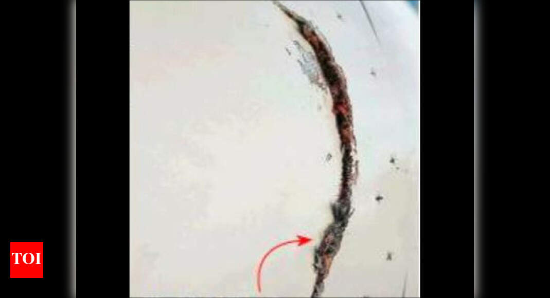 Bird-hit Saudi aircraft remains grounded, stranded flyers leave in a ...