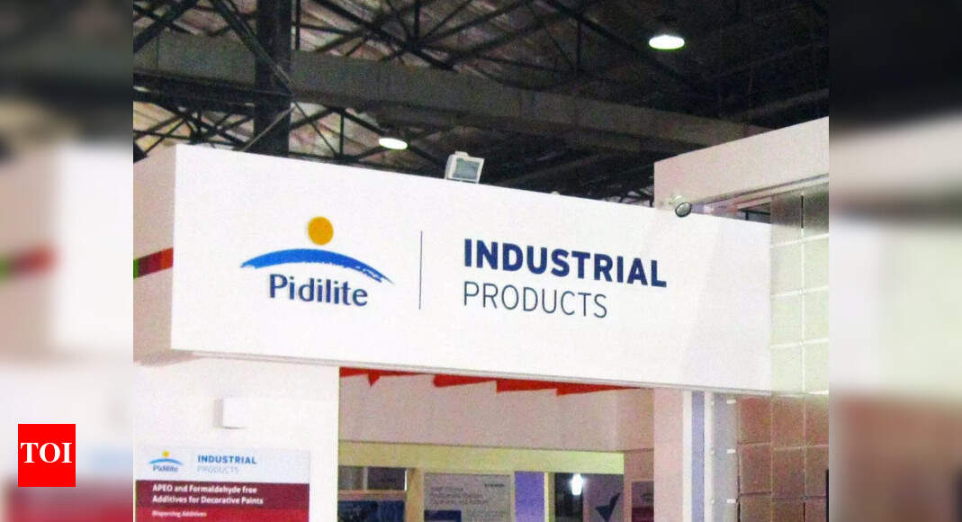 Pidilite Industries: Pidilite to invest $500,000 in US-based subsidiary ...