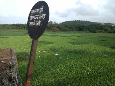 Pashan lake - Unmaintained tourist attraction - Times of India