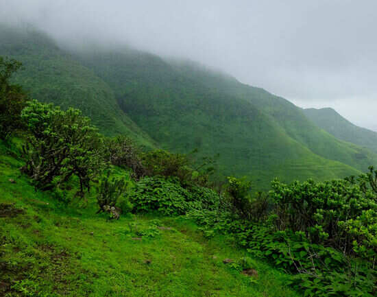 Kondaveedu Fort in Andhra Pradesh is fast becoming a popular tourist ...