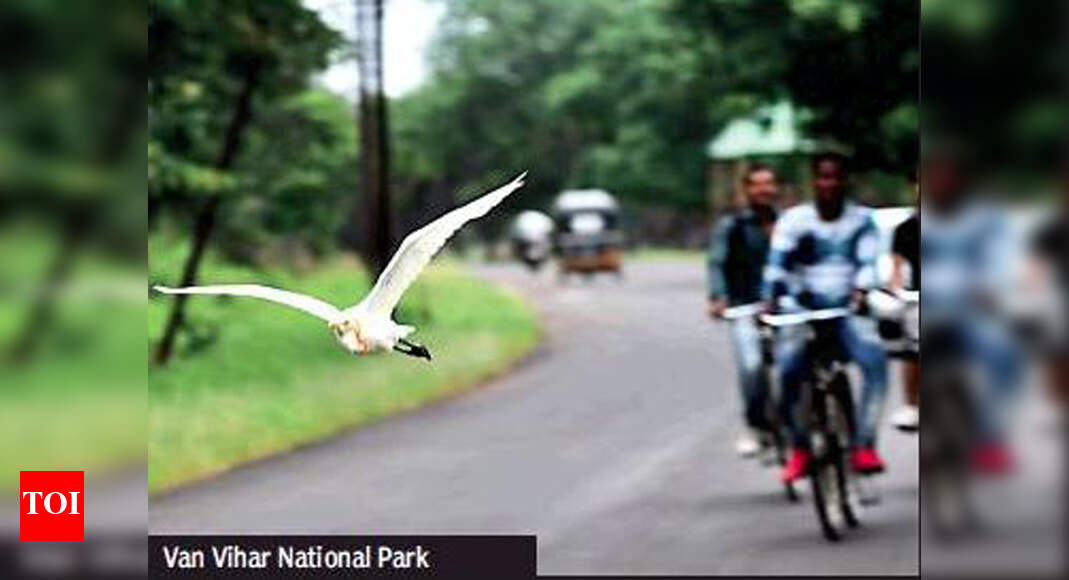 Pollution: MP: Even Van Vihar not spared of pollution | Bhopal News ...