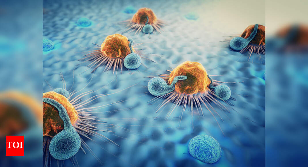 Cancer Treatment: Nanoparticle therapy could deliver double blow to ...