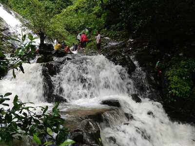 Trek to Saleli waterfall | Events Movie News - Times of India