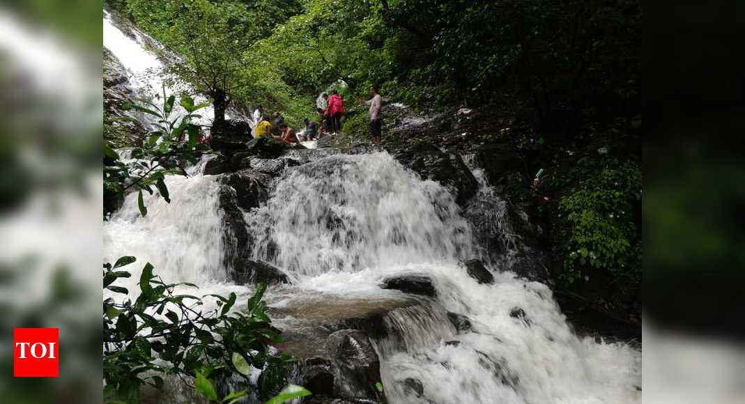 Trek to Saleli waterfall | Events Movie News - Times of India