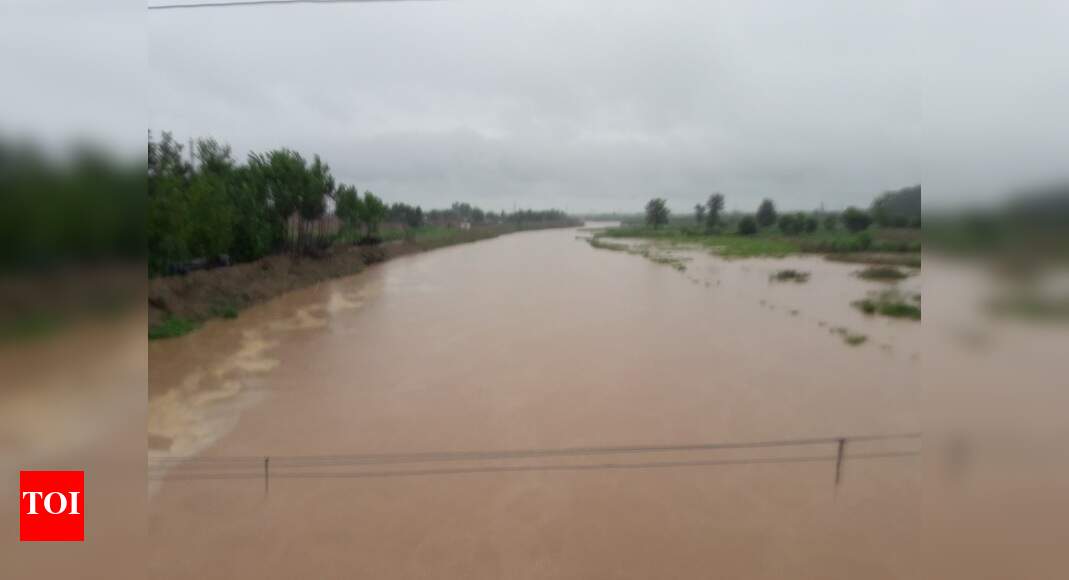 Ambala: Alert issued in Ambala after Tangri river swells | Chandigarh ...