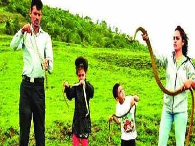 This Belagavi couple are bent on rescuing snakes | Hubballi News - Times of India