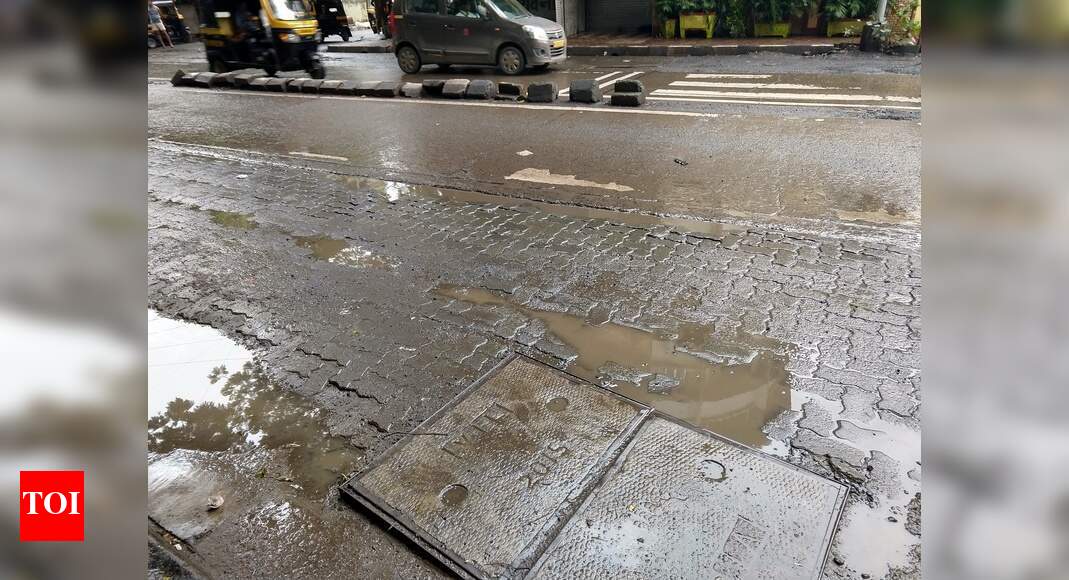 BMC is incapable of providing basic infrastructure - Times of India